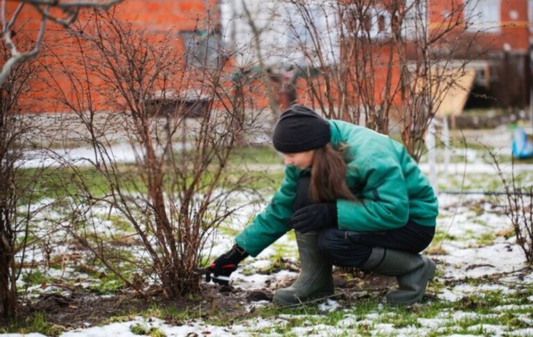 How To Prevent Gardening Injuries?