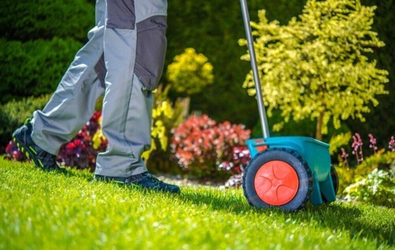 How To Give Tired Lawns An Autumn Boost?